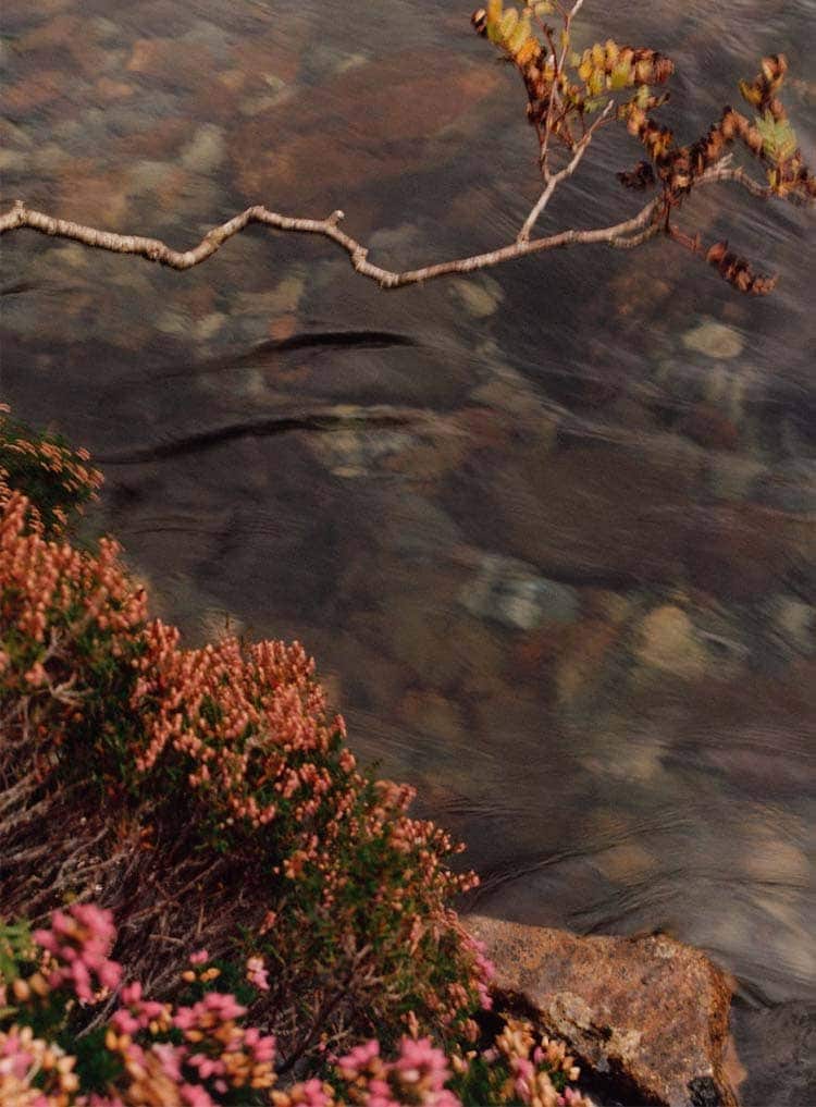 Wild Swimming Colognes & Home Fragrance | Jo Malone London | Mexico E ...